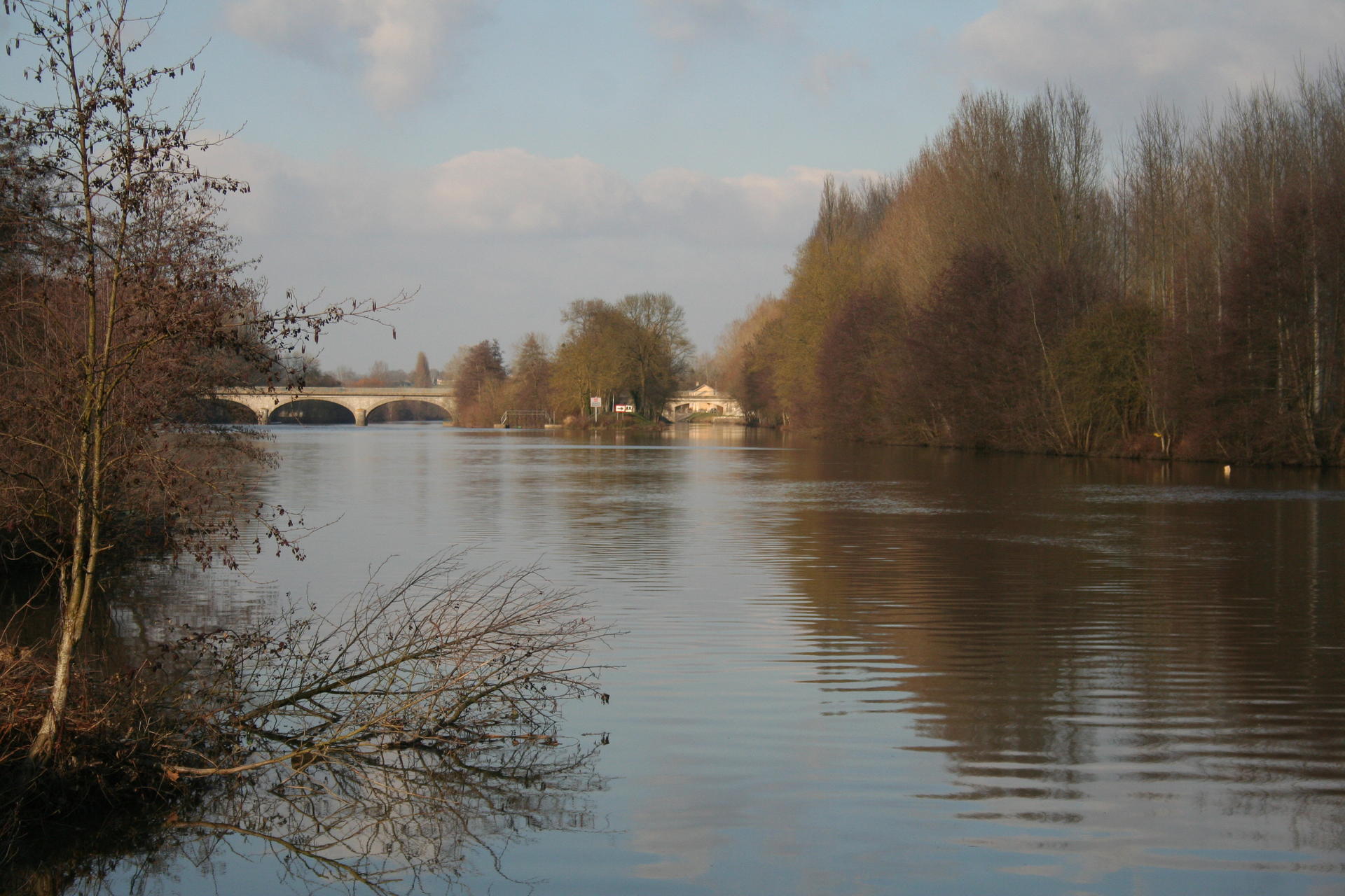 Parcé sur Sarthe - La Tanche de Parcé-Avoise - Fédération de pêche de ...